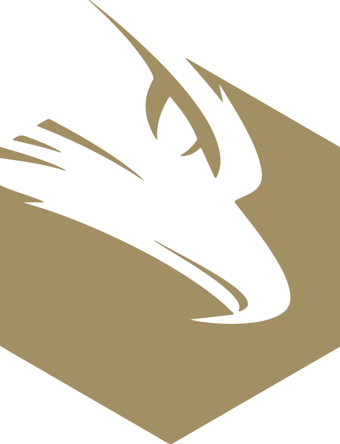 File:Aquila logo.png - MicrasWiki